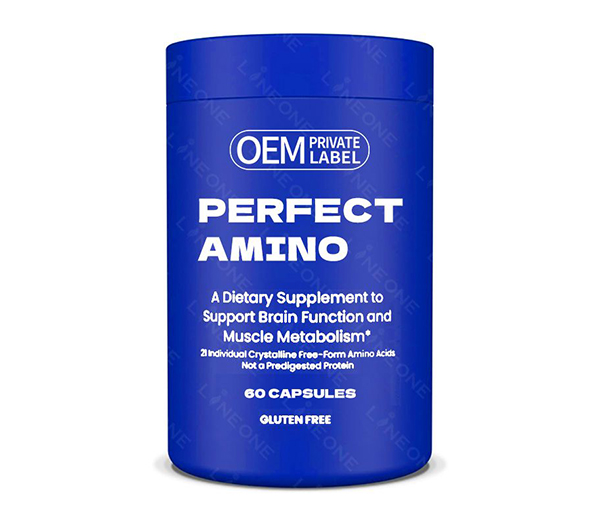 PERFECT AMINO Capsules